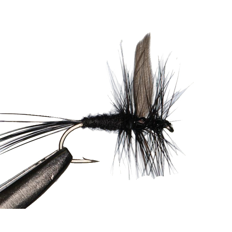 Black Gnat - 3 Pack | Frontier Fly Fishing